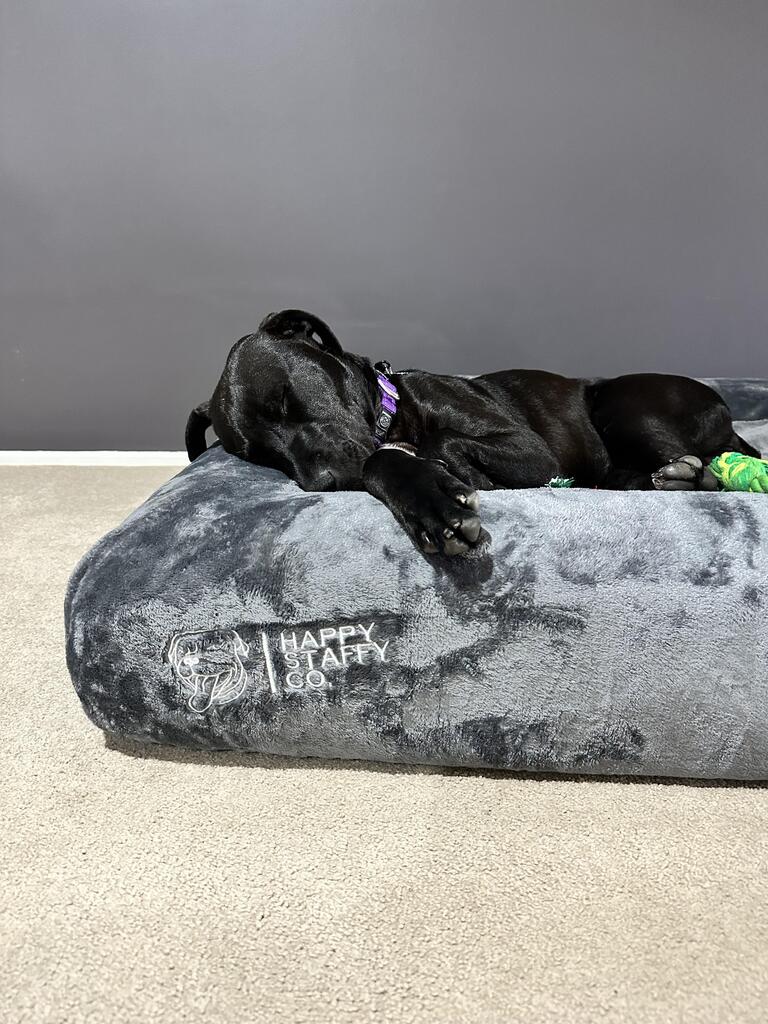 Pullover Blanket Cover – Happy Staffy Co.