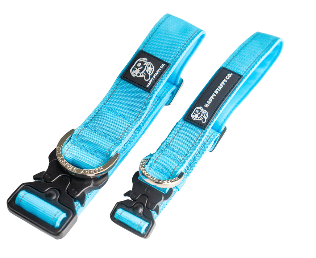 Durable Staffy Collar – Happy Staffy Co.