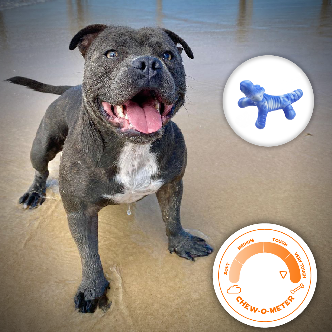 Toy Durability – Happy Staffy Co.