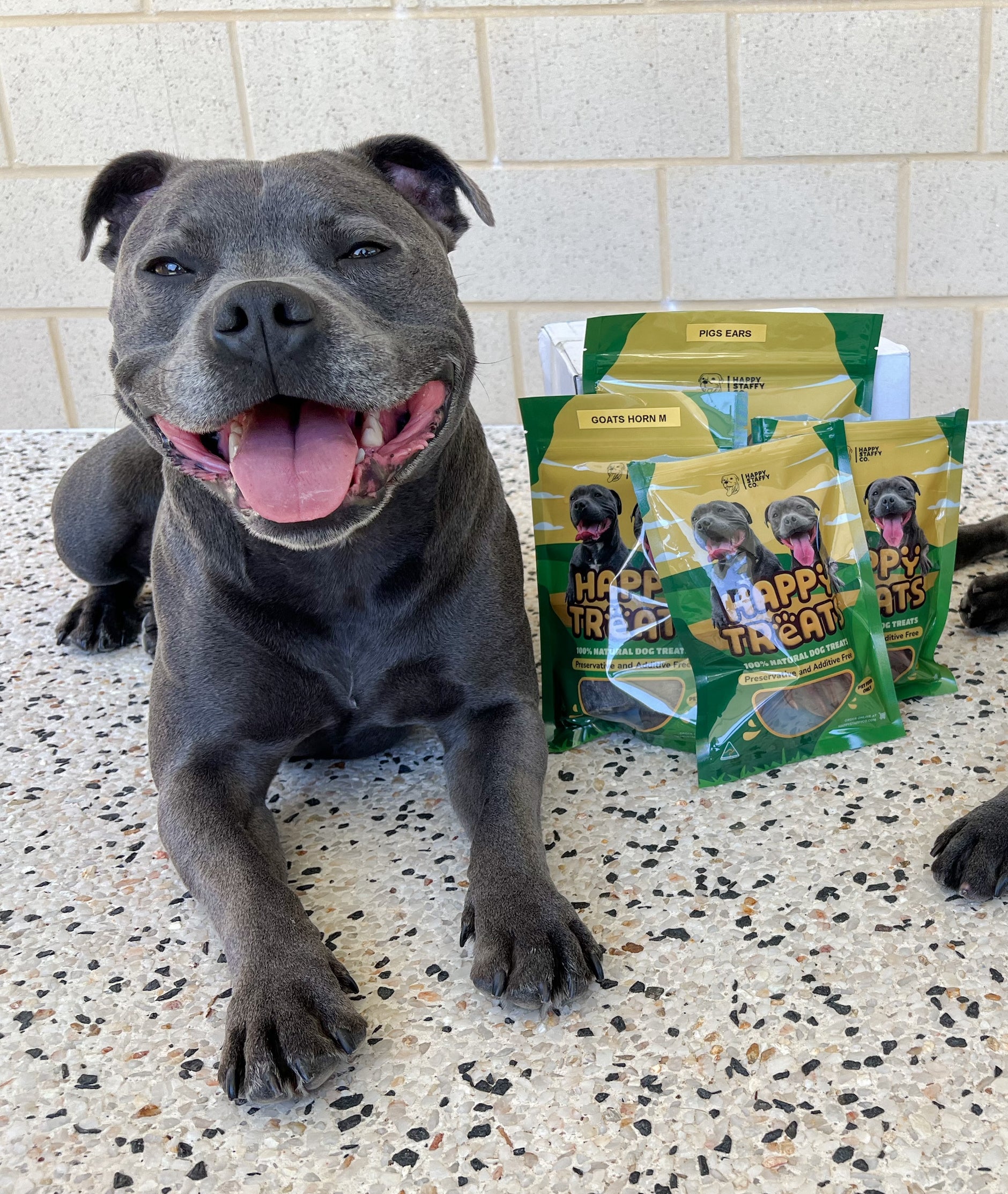 Australia’s only dedicated Staffy Store - Happy Staffy Co.